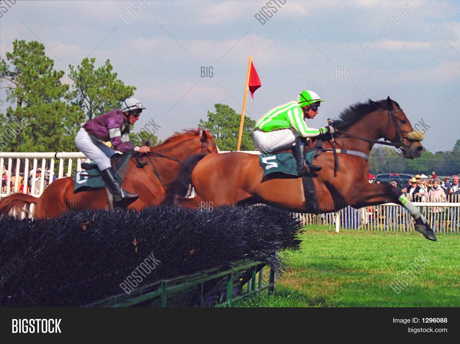 Steeplechase Image & Photo (Free Trial) | Bigstock