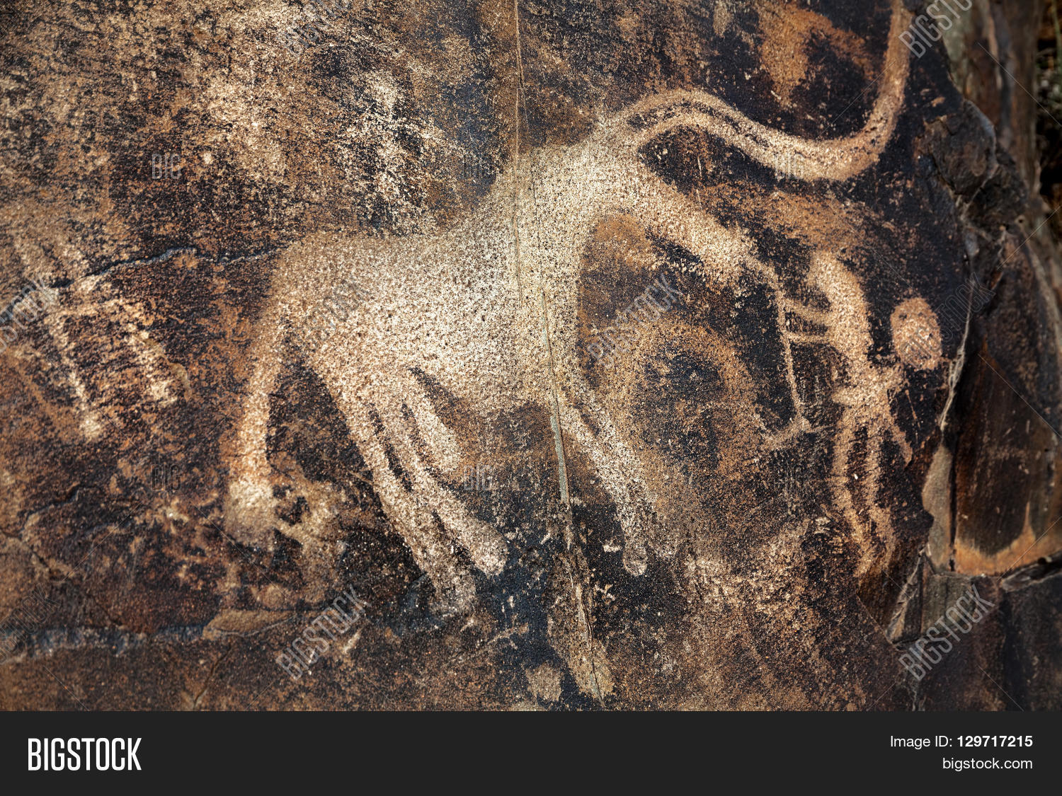 Petroglyph Animals On Image & Photo (Free Trial) | Bigstock