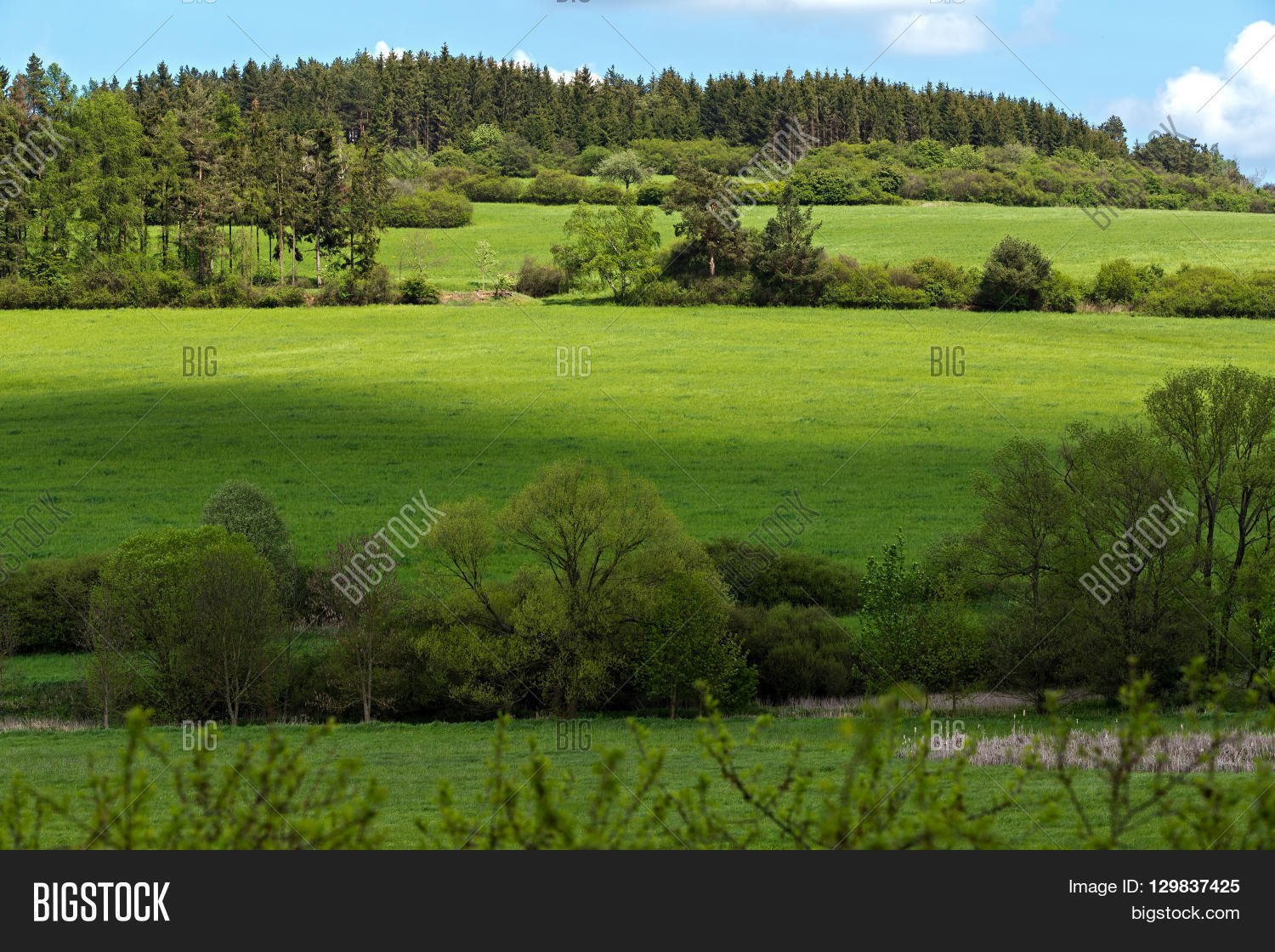 Beautiful Summer Rural Image & Photo (Free Trial) | Bigstock