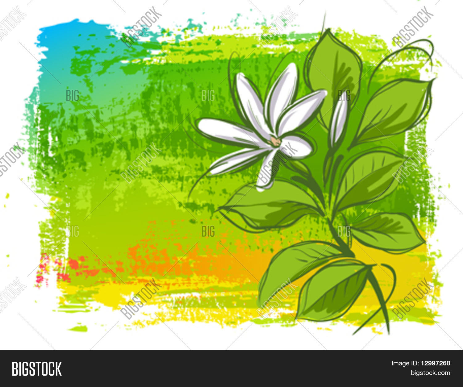 Tahitian Tiare - Vector & Photo (Free Trial) | Bigstock