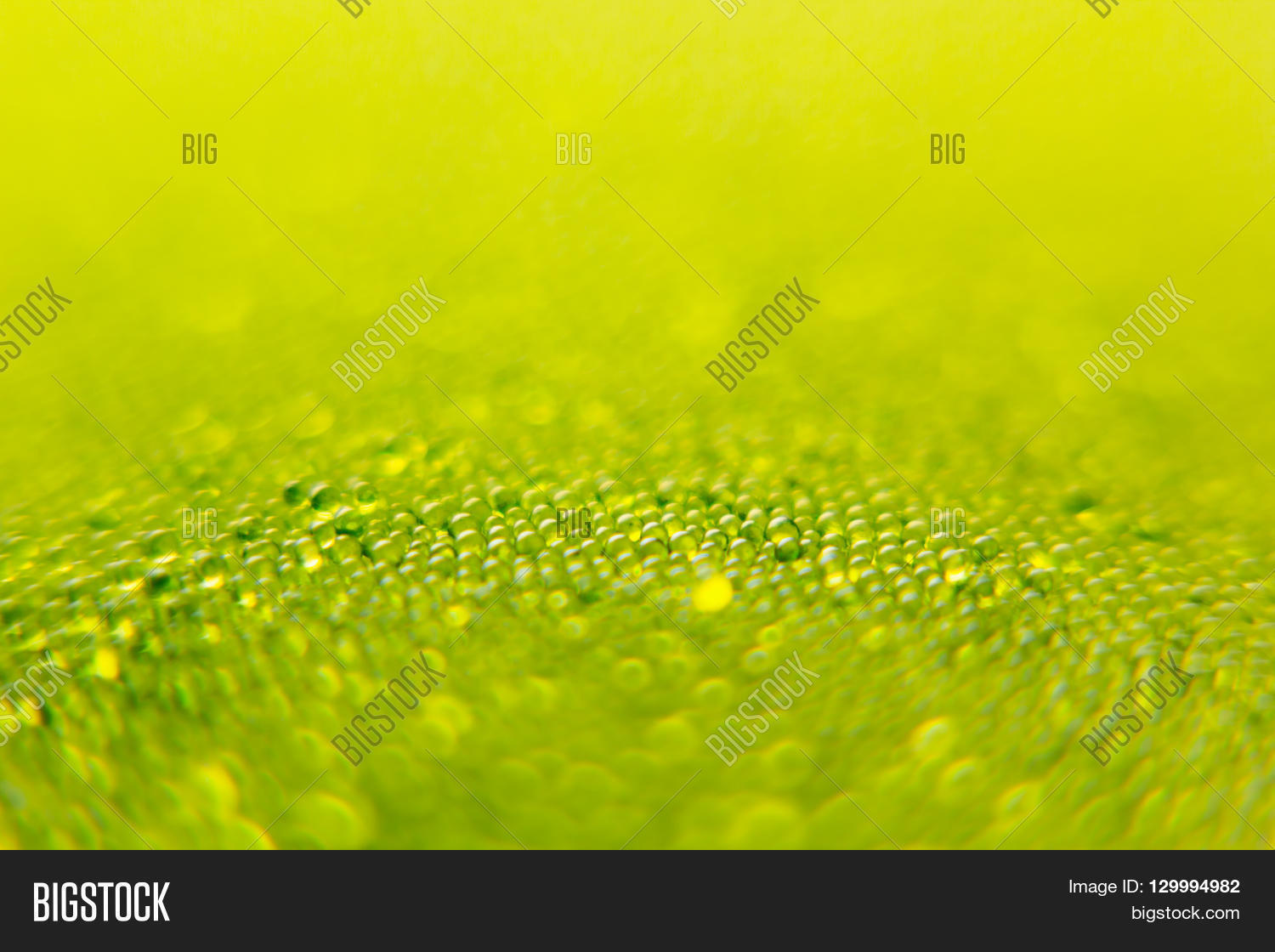 Abstract Bright Green Image & Photo (Free Trial) | Bigstock