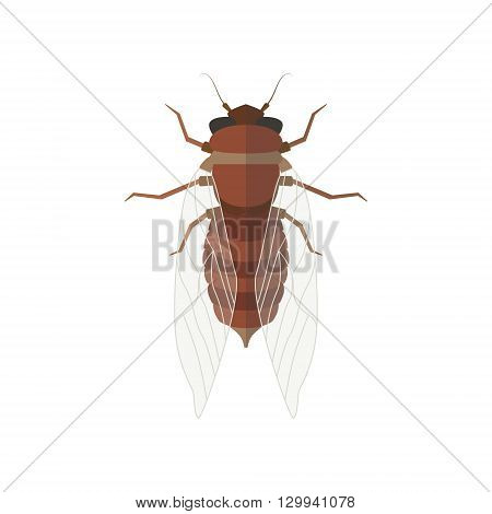 Cicada Vector Vector & Photo (Free Trial) | Bigstock
