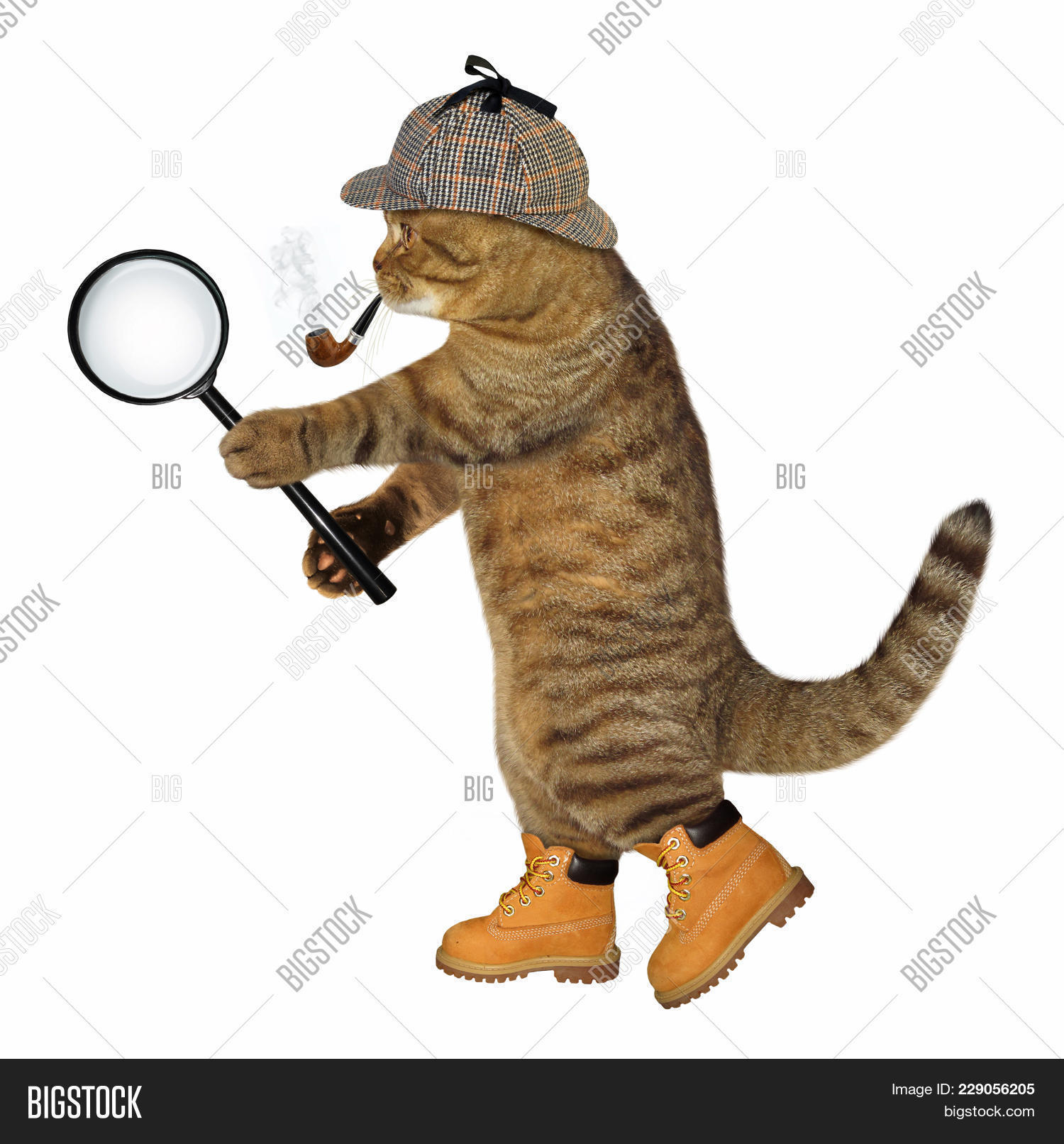 Cat Detective Smoking Image & Photo (Free Trial) | Bigstock