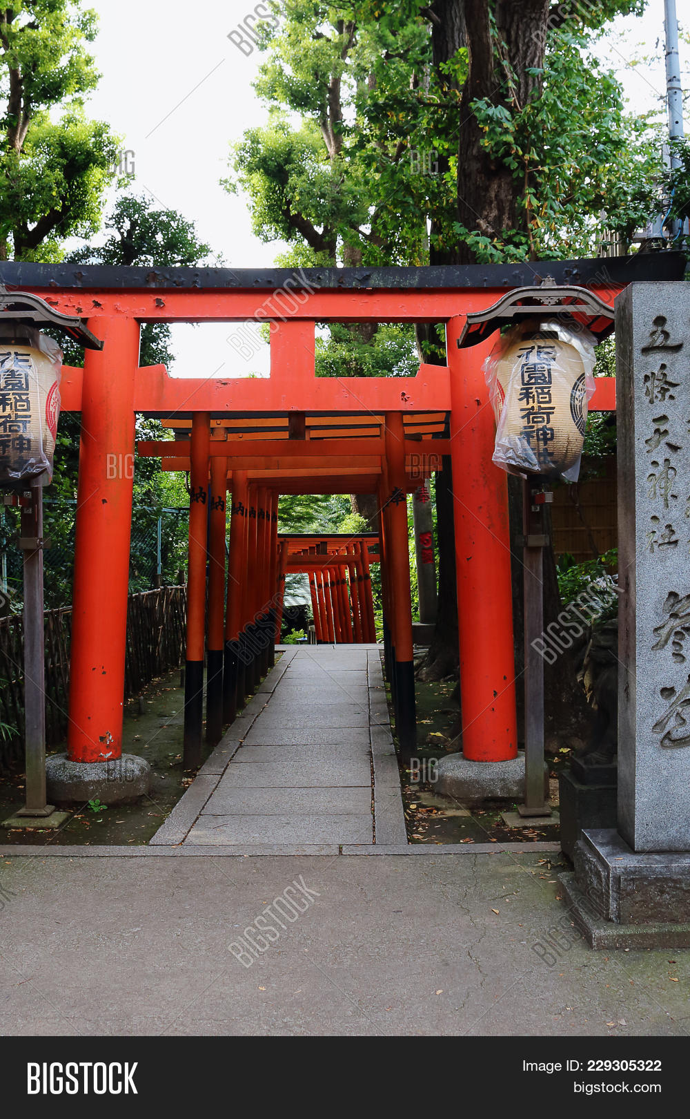 Tokyo, Japan - Image & Photo (Free Trial) | Bigstock