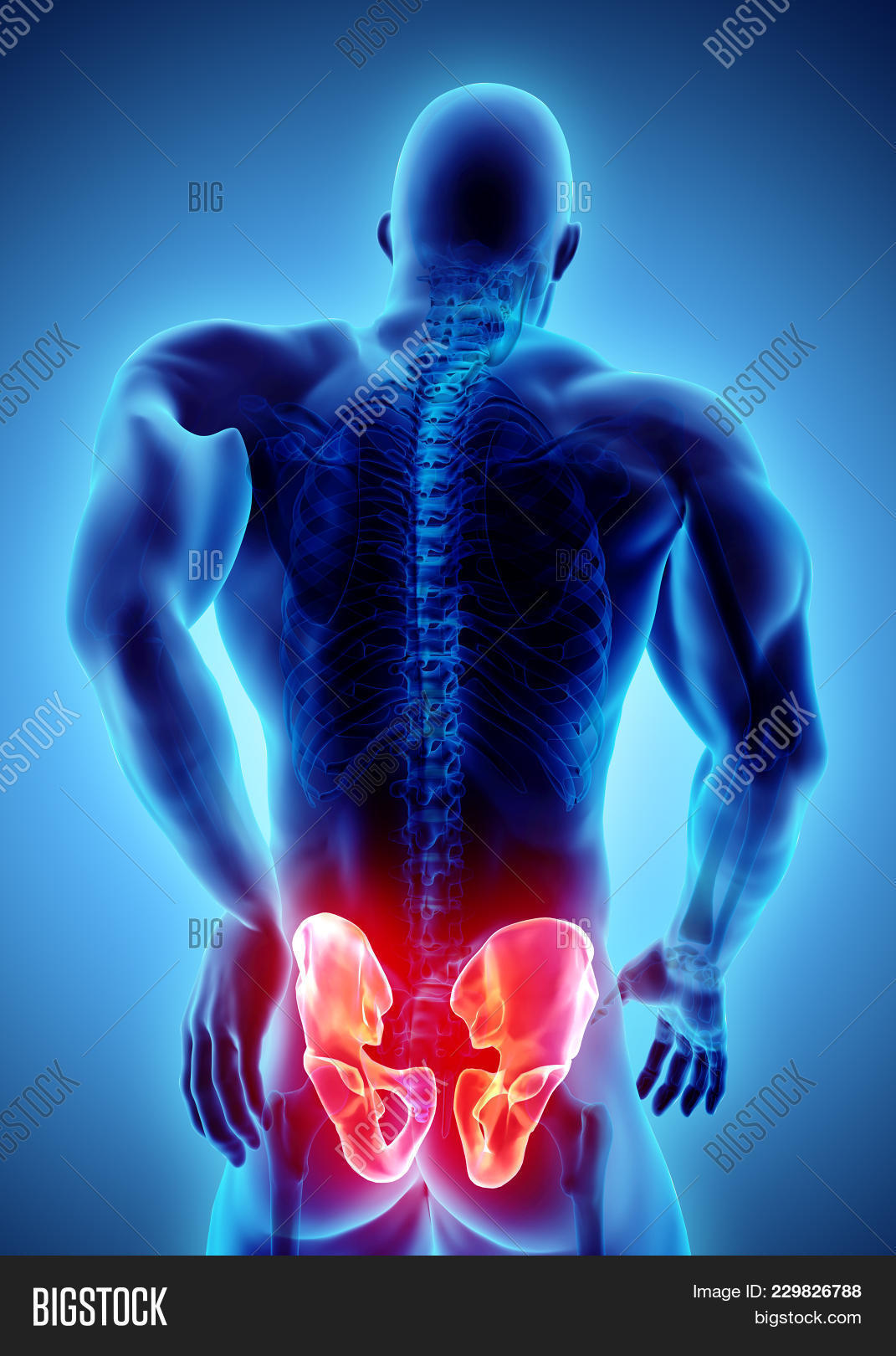 3d Illustration, Hip Image & Photo (Free Trial) | Bigstock