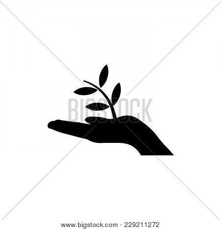 Plant Tree Icon Vector & Photo (Free Trial) | Bigstock