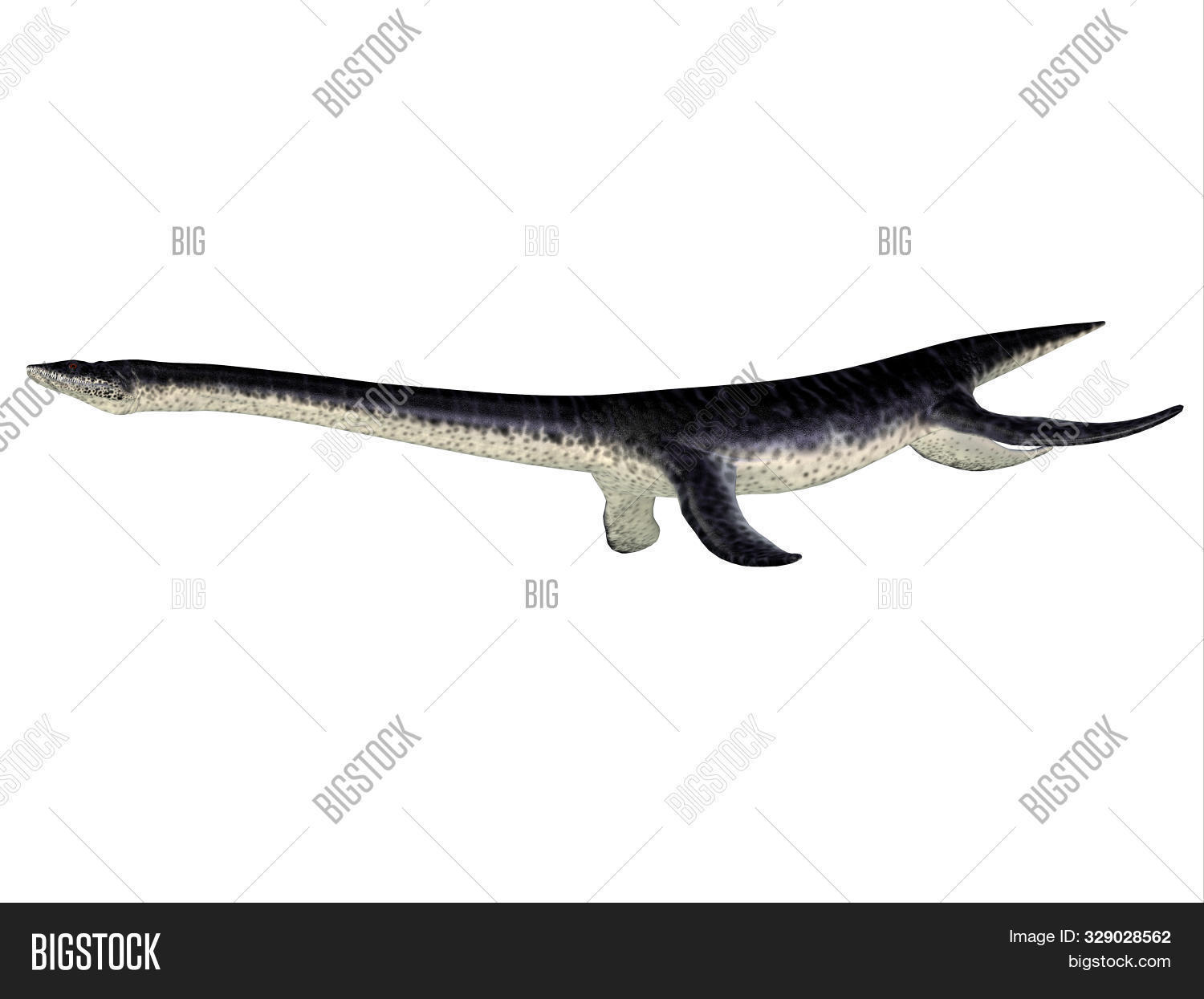 Plesiosaurus Reptile Image & Photo (Free Trial) | Bigstock