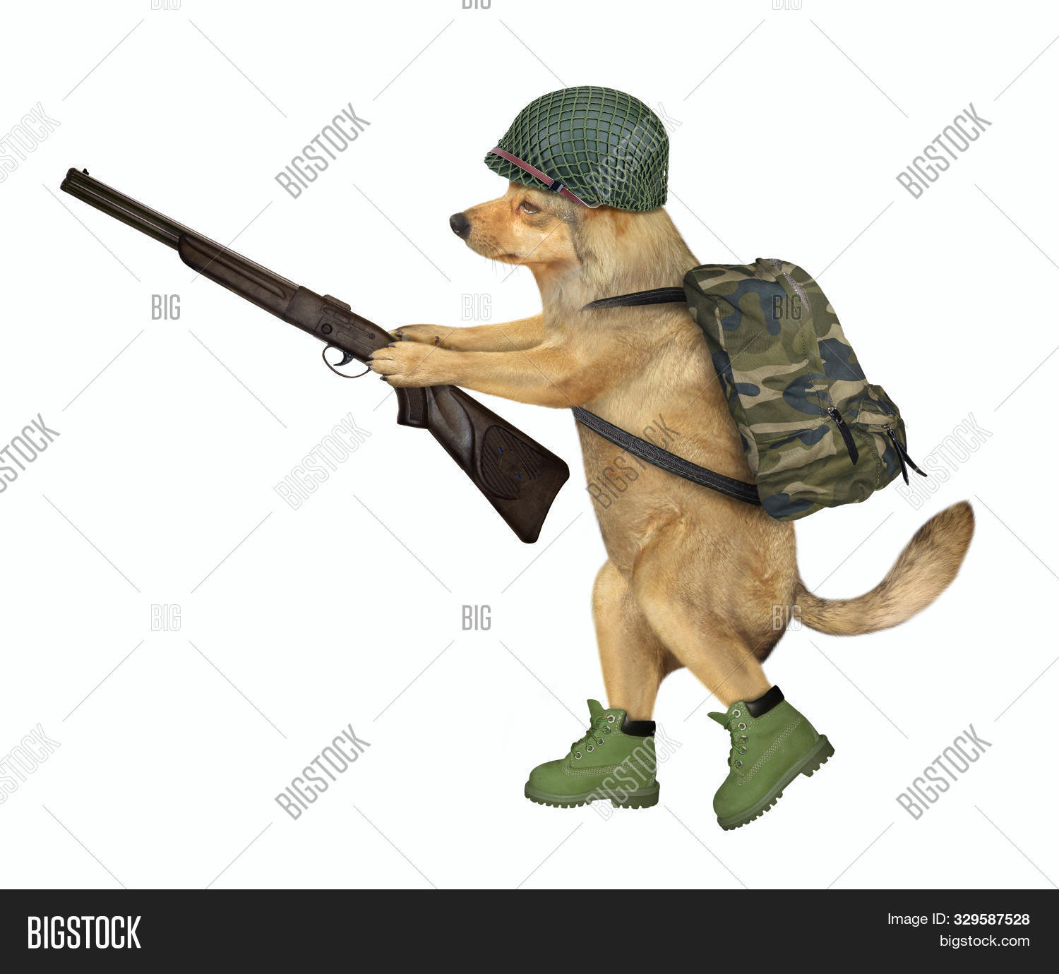 Beige Dog Soldier Image & Photo (Free Trial) | Bigstock