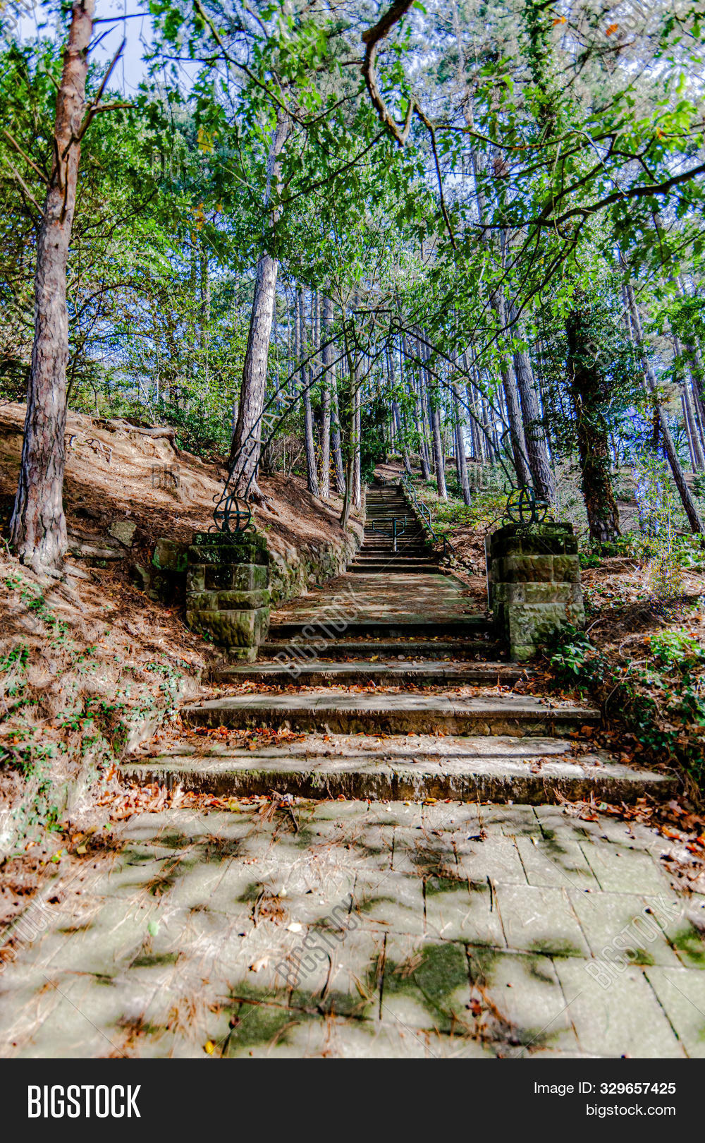 Natural Staircase Image & Photo (Free Trial) | Bigstock