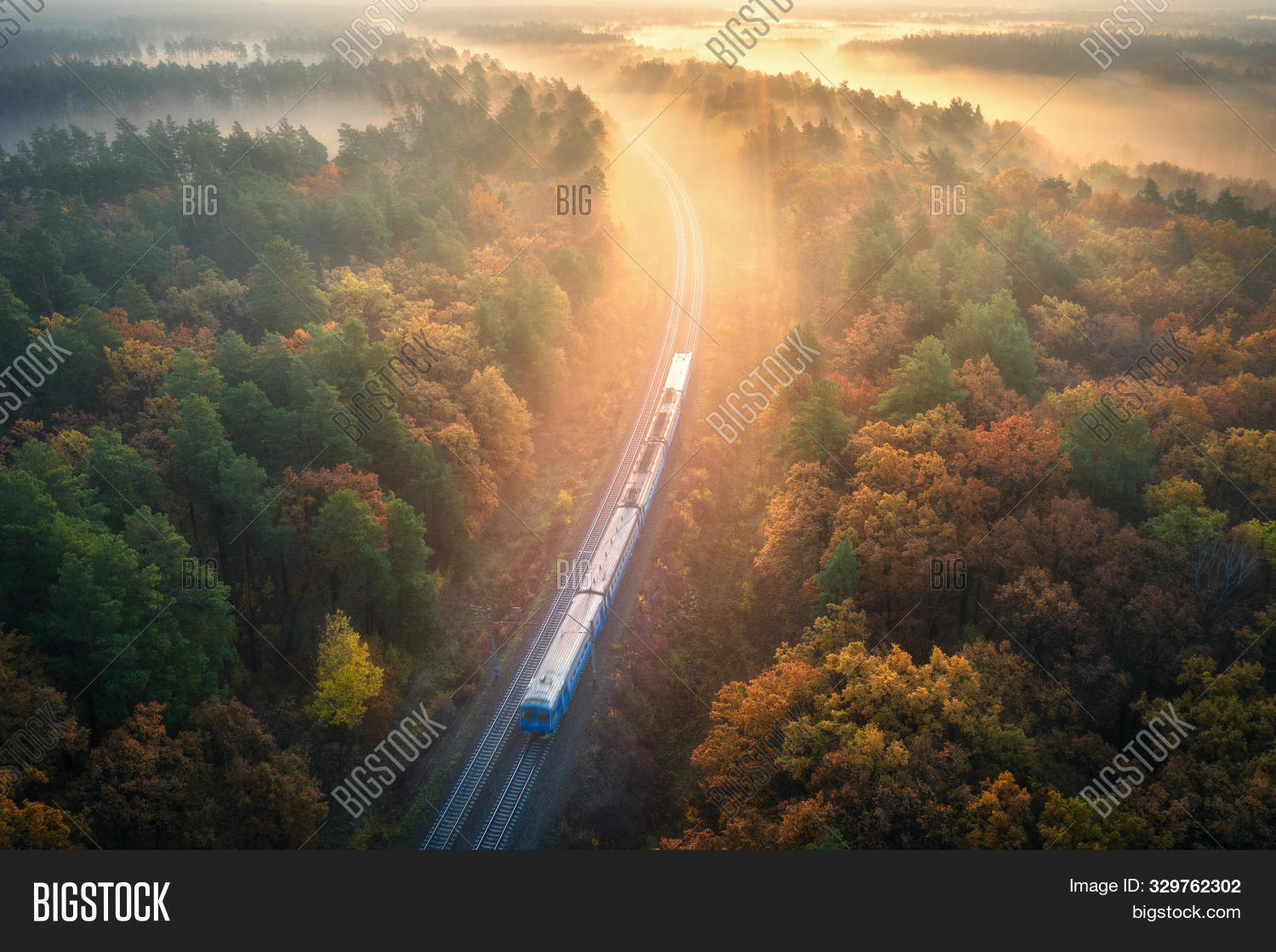Train Beautiful Forest Image & Photo (Free Trial) | Bigstock