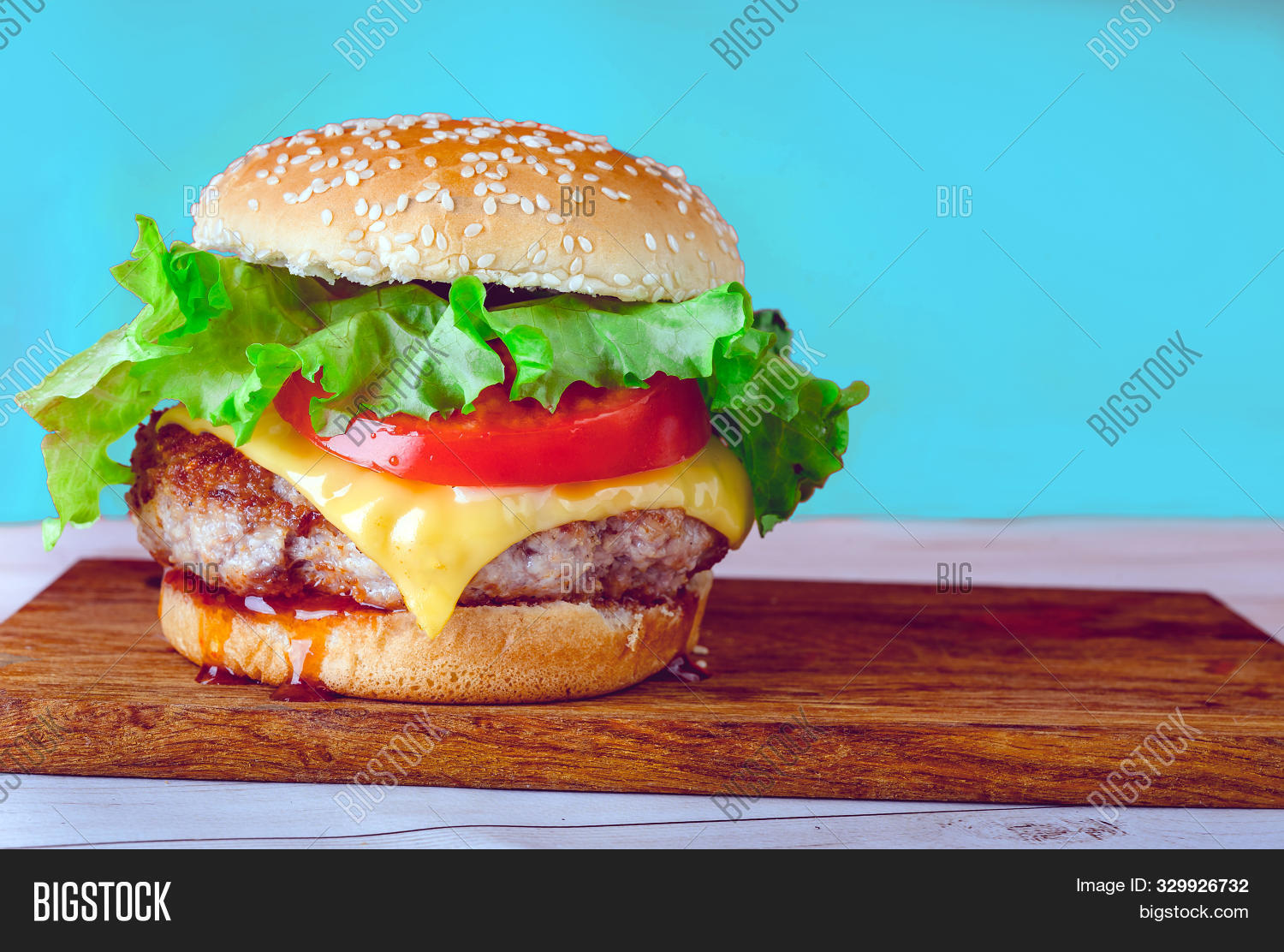 Hamburger Sandwich. Image & Photo (Free Trial) | Bigstock