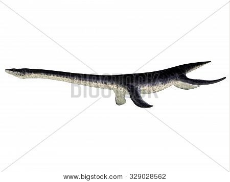 Plesiosaurus Reptile Image & Photo (Free Trial) | Bigstock