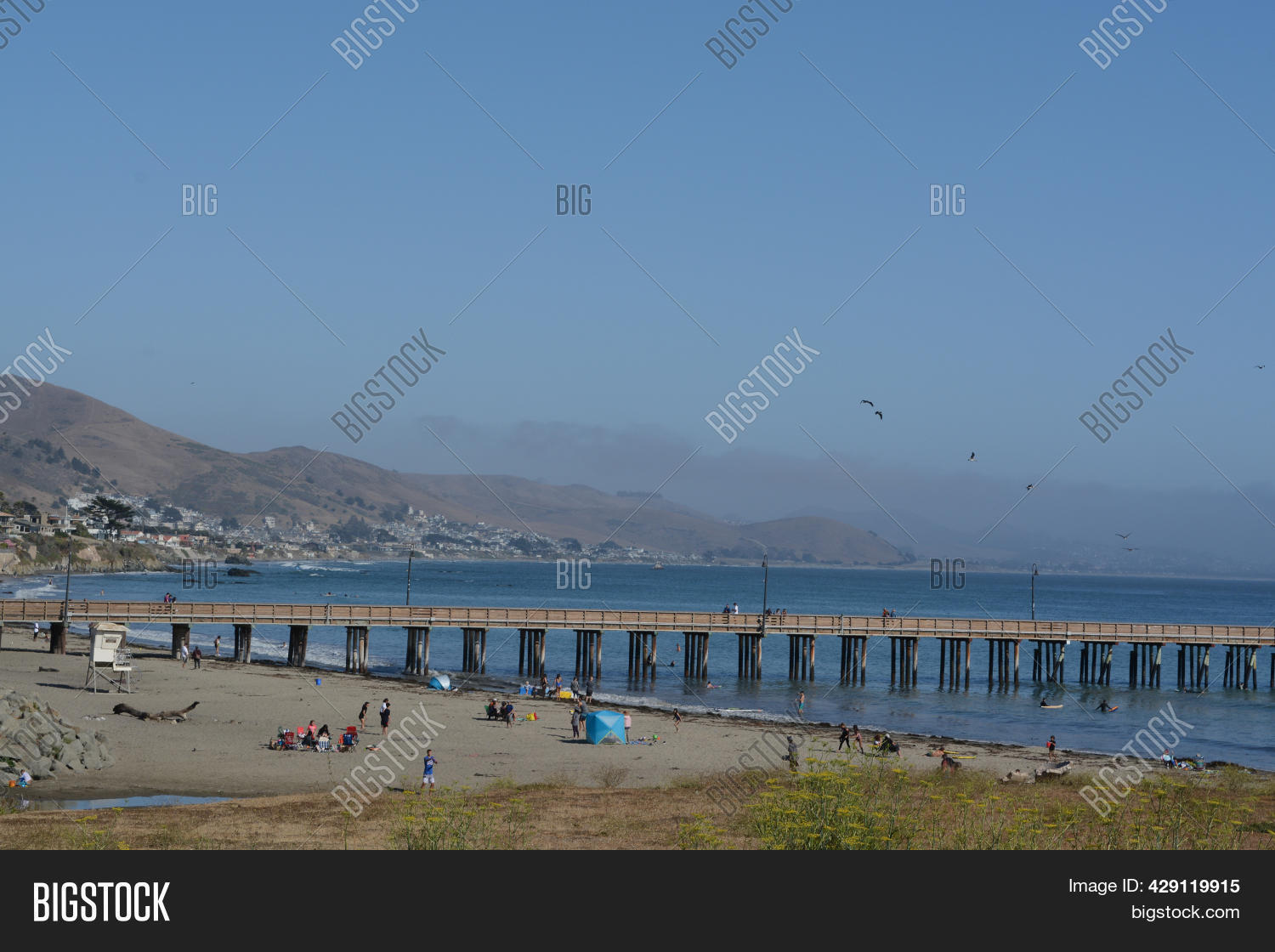 Cayucos State Beach Image & Photo (Free Trial) | Bigstock