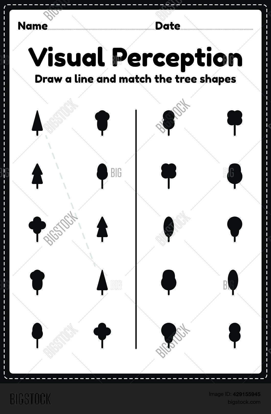 Visual Perceptual Vector & Photo (Free Trial) | Bigstock