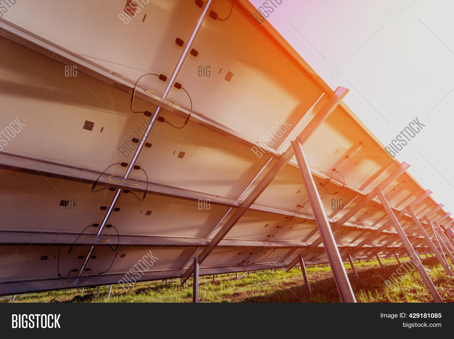 Back View Photovoltaic Image & Photo (Free Trial) | Bigstock