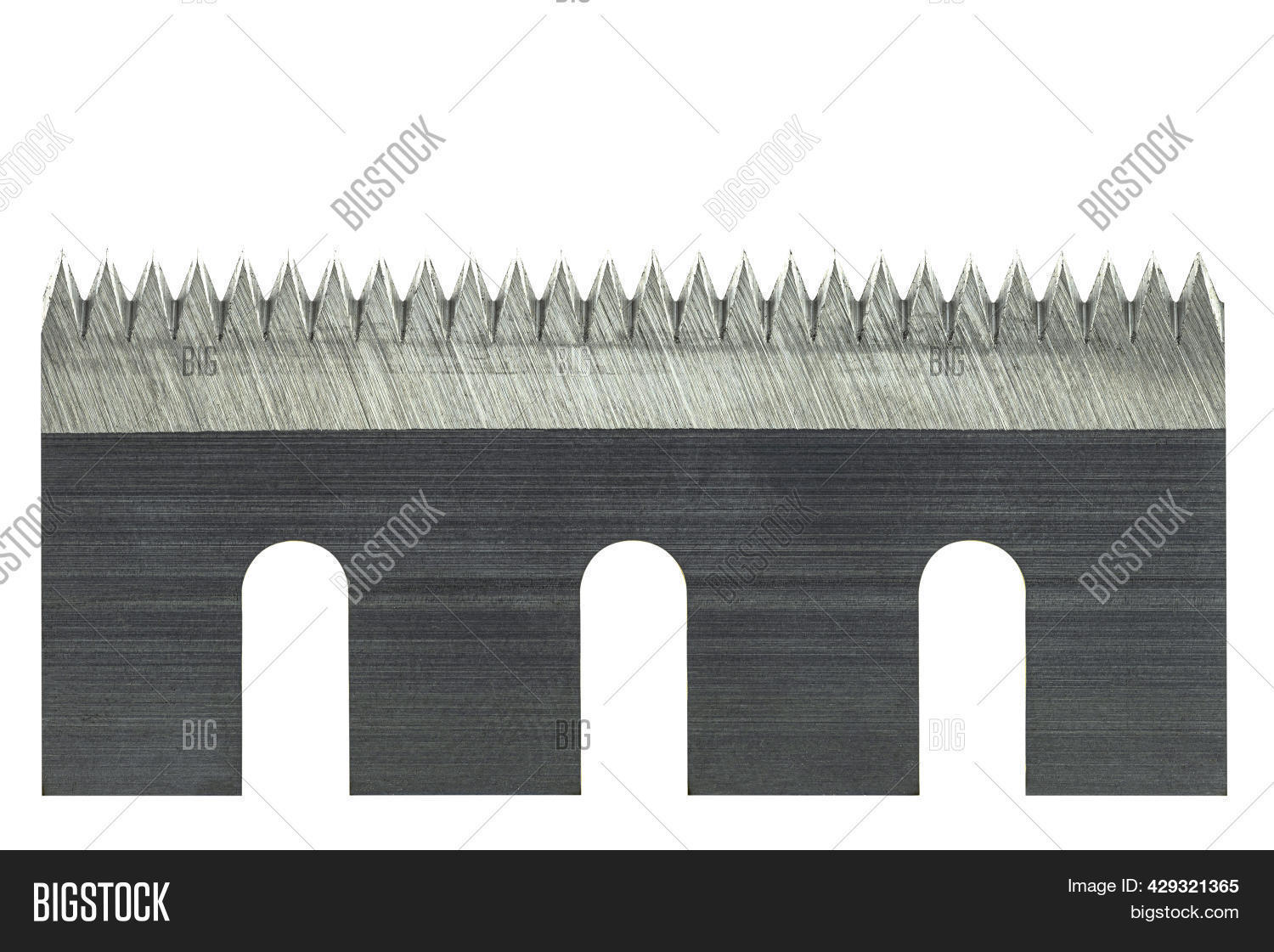 Macro Photo Serrated Image & Photo (Free Trial) | Bigstock