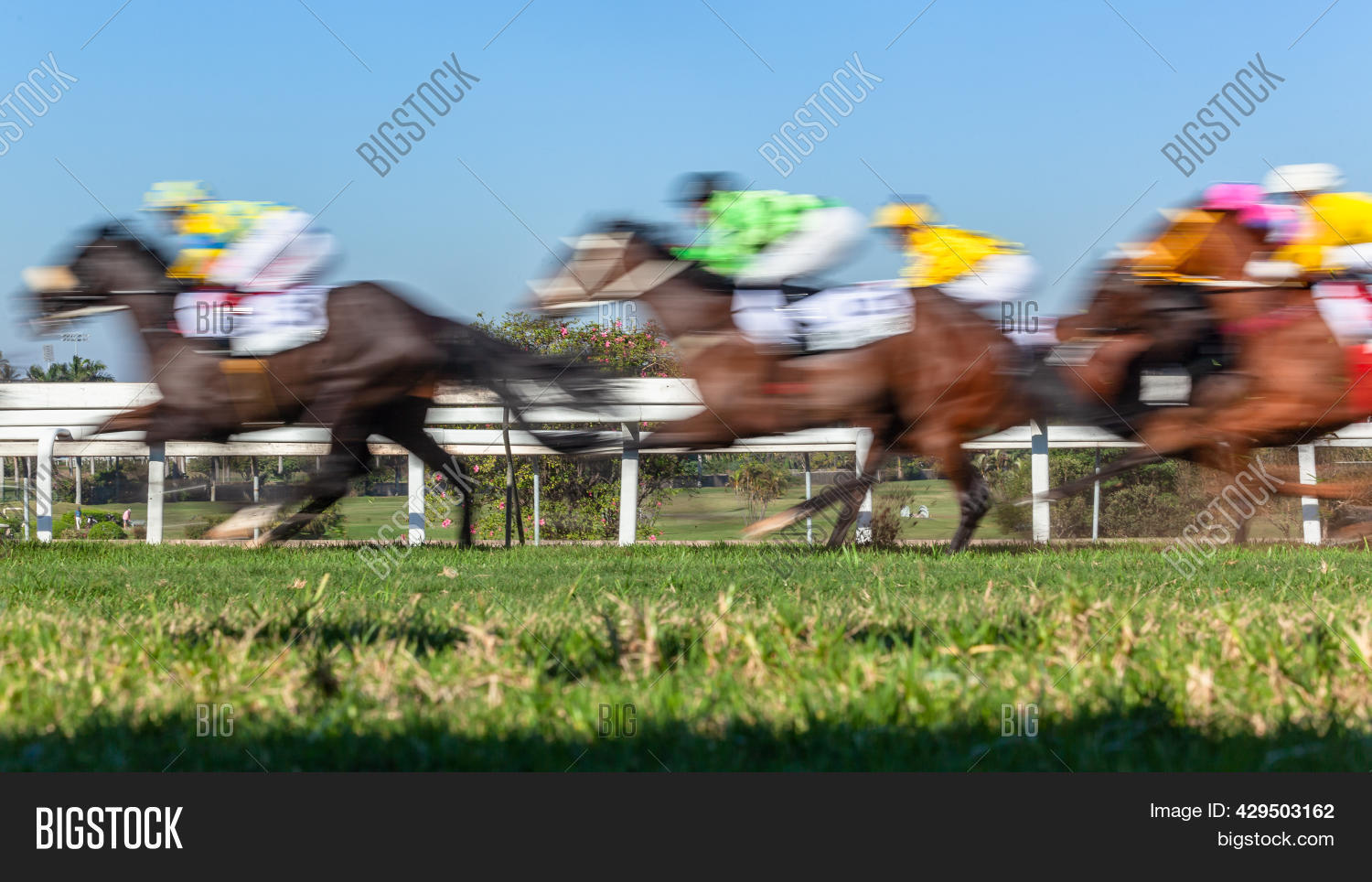 Horse Racing Motion Image & Photo (Free Trial) | Bigstock