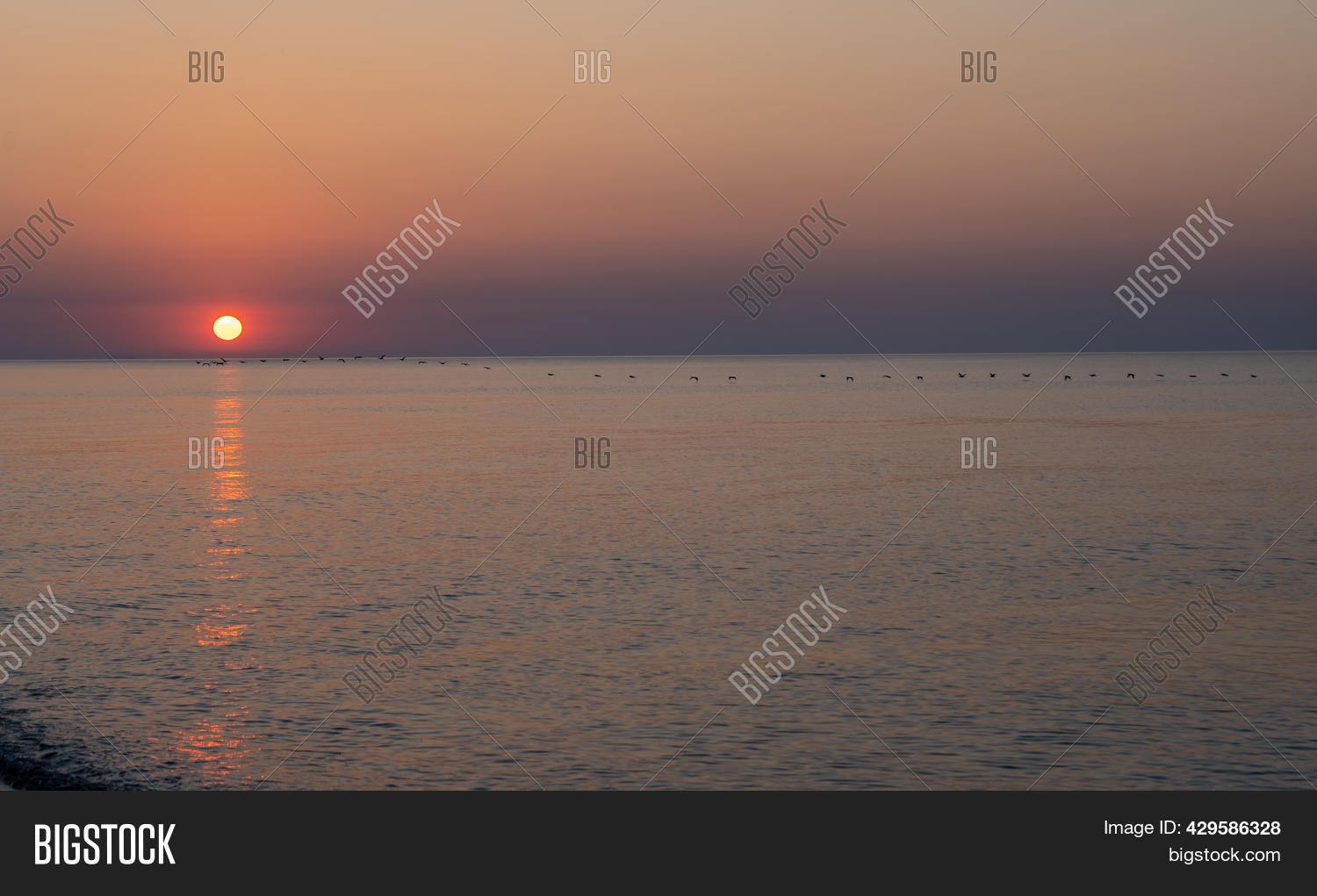 Sunset Sea. Evening Image & Photo (Free Trial) | Bigstock