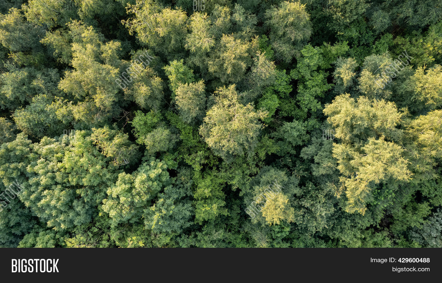 Aerial Bird View Over Image & Photo (Free Trial) | Bigstock