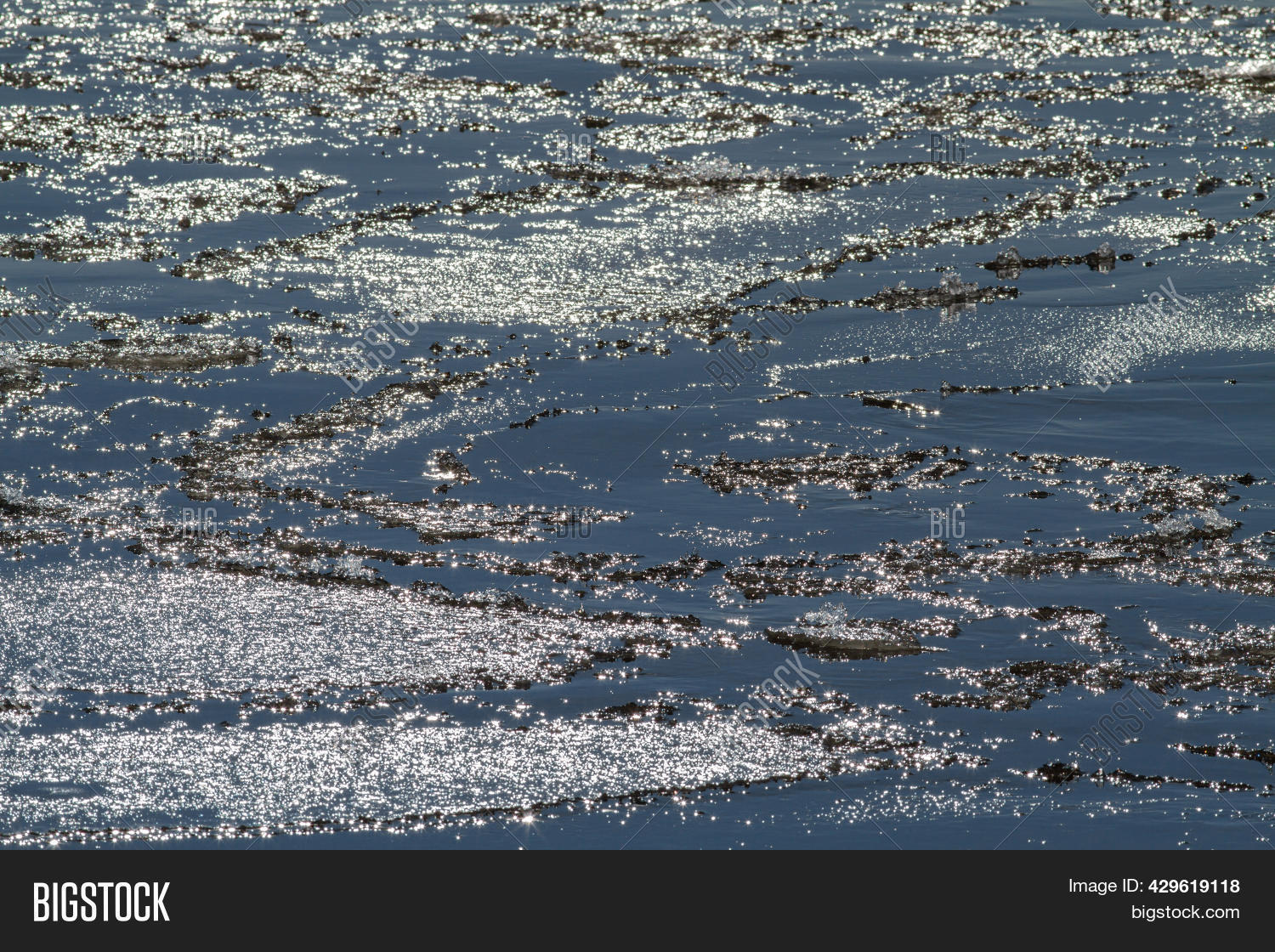 On River, Thin Ice Image & Photo (Free Trial) | Bigstock