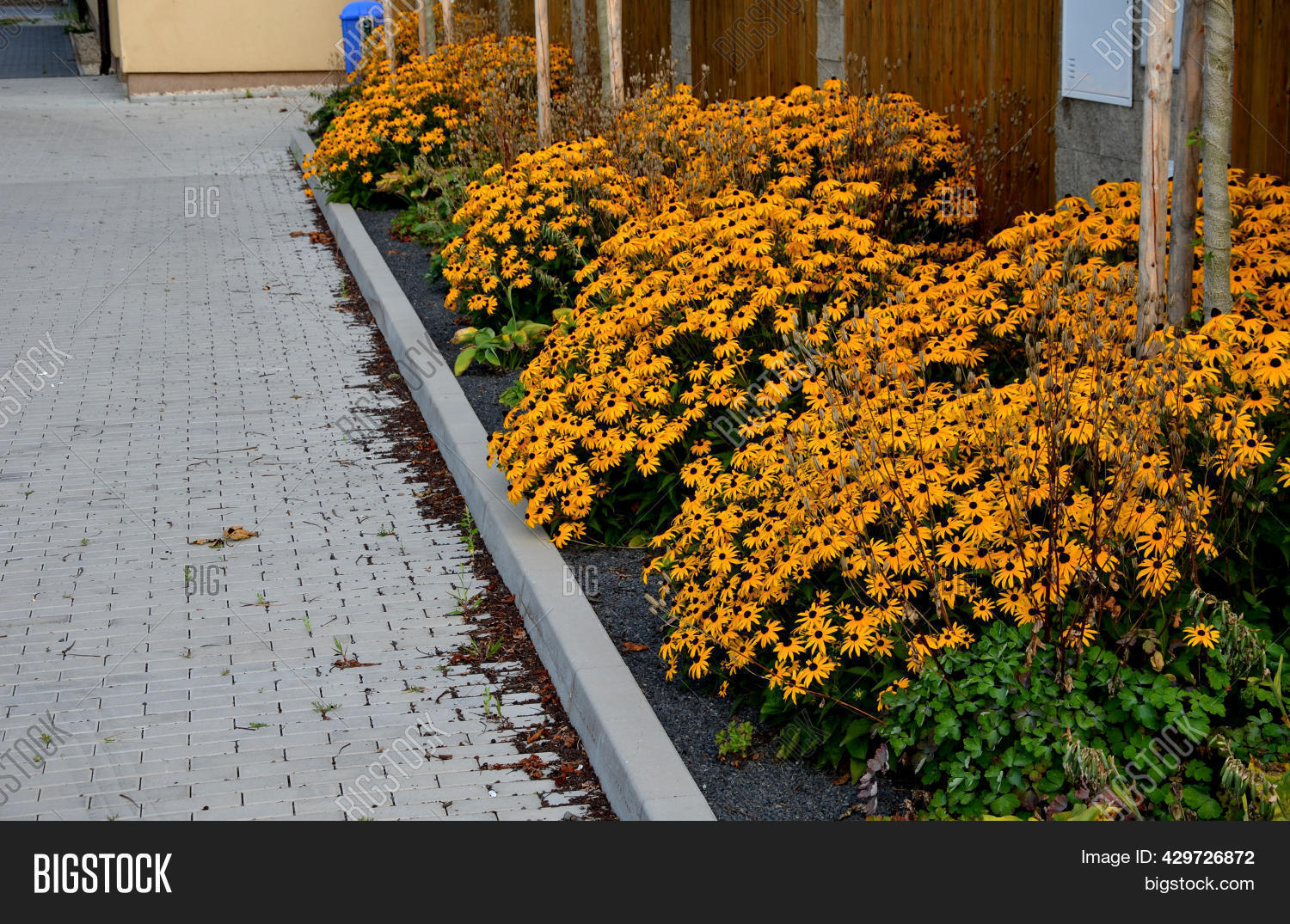 Rural Square Yellow Image & Photo (Free Trial) | Bigstock