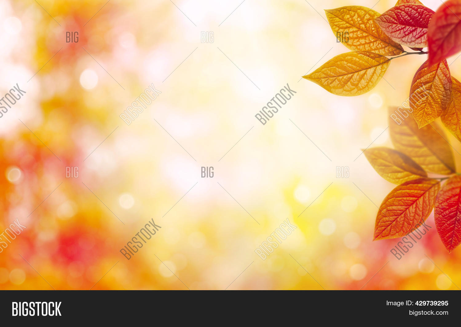 Red Orange Autumn Image & Photo (Free Trial) | Bigstock