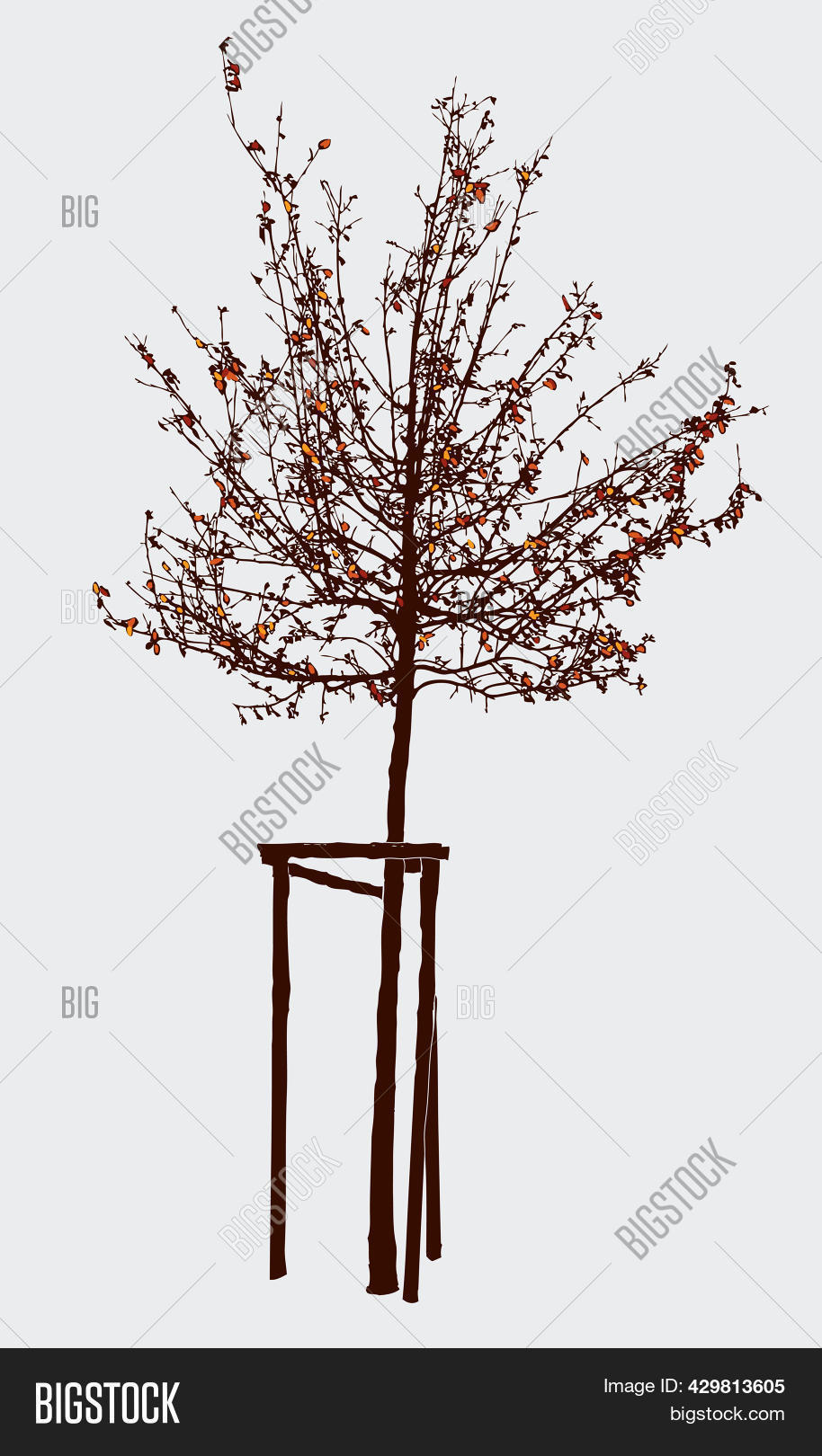 Illustration Image & Photo (Free Trial) | Bigstock