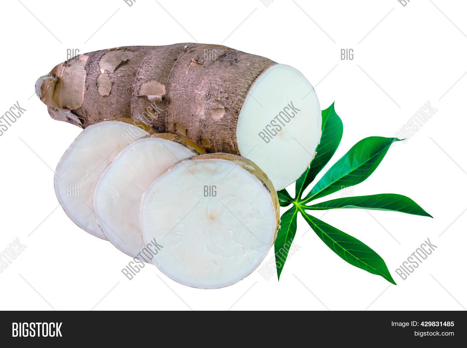 Cassava Tubers Fresh Image & Photo (Free Trial) | Bigstock