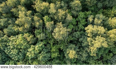Aerial Bird View Over Image & Photo (Free Trial) | Bigstock