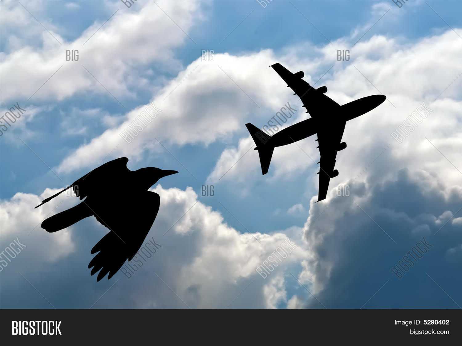 Bird Plane Flying Image & Photo (Free Trial) | Bigstock