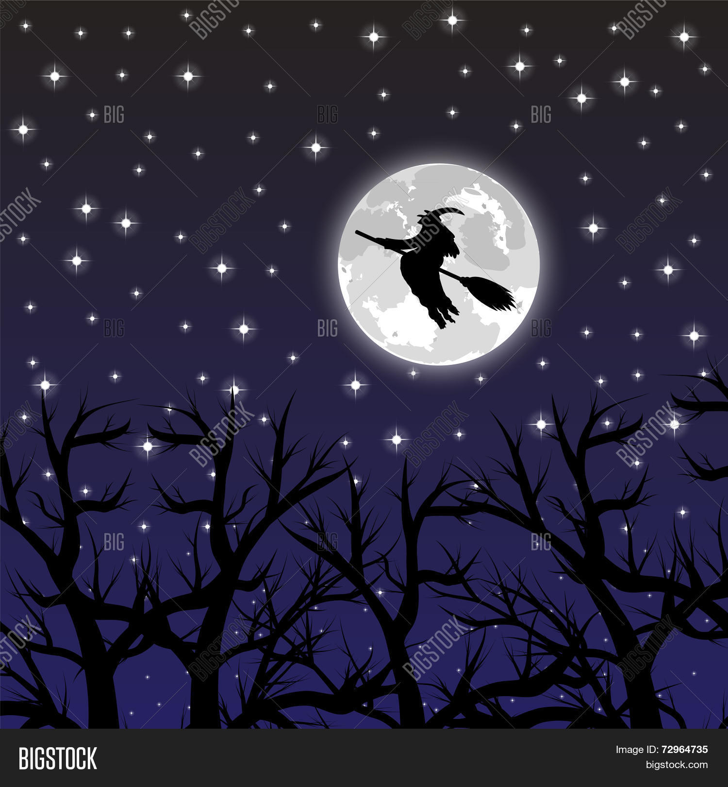 Witch Flying On Broom Vector & Photo (Free Trial) | Bigstock
