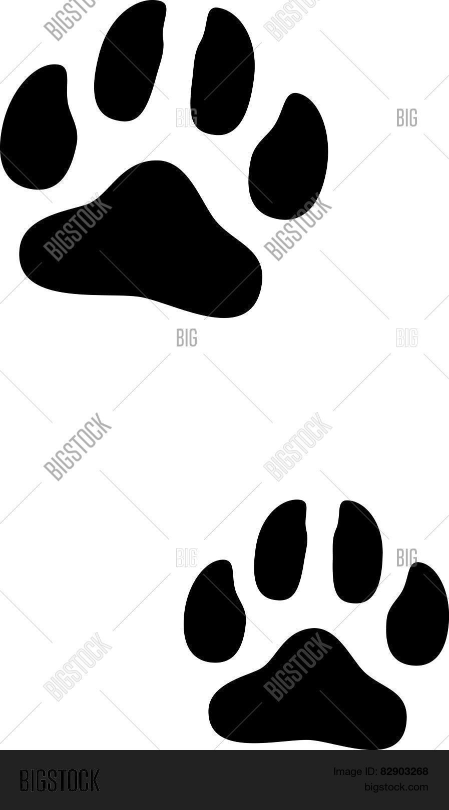 Tiger Paw Vector & Photo (Free Trial) | Bigstock