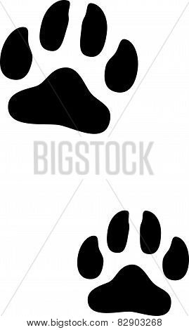 Tiger Paw Vector & Photo (Free Trial) | Bigstock