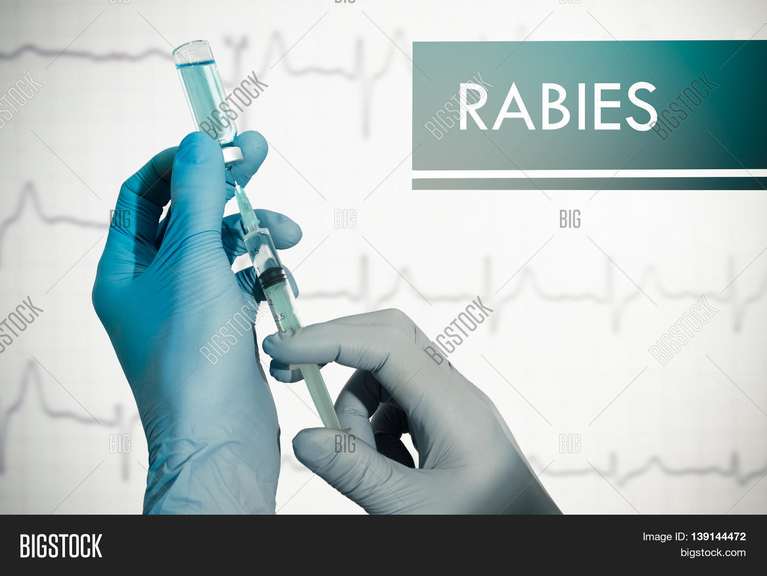 Stop Rabies. Syringe Image & Photo (Free Trial) | Bigstock