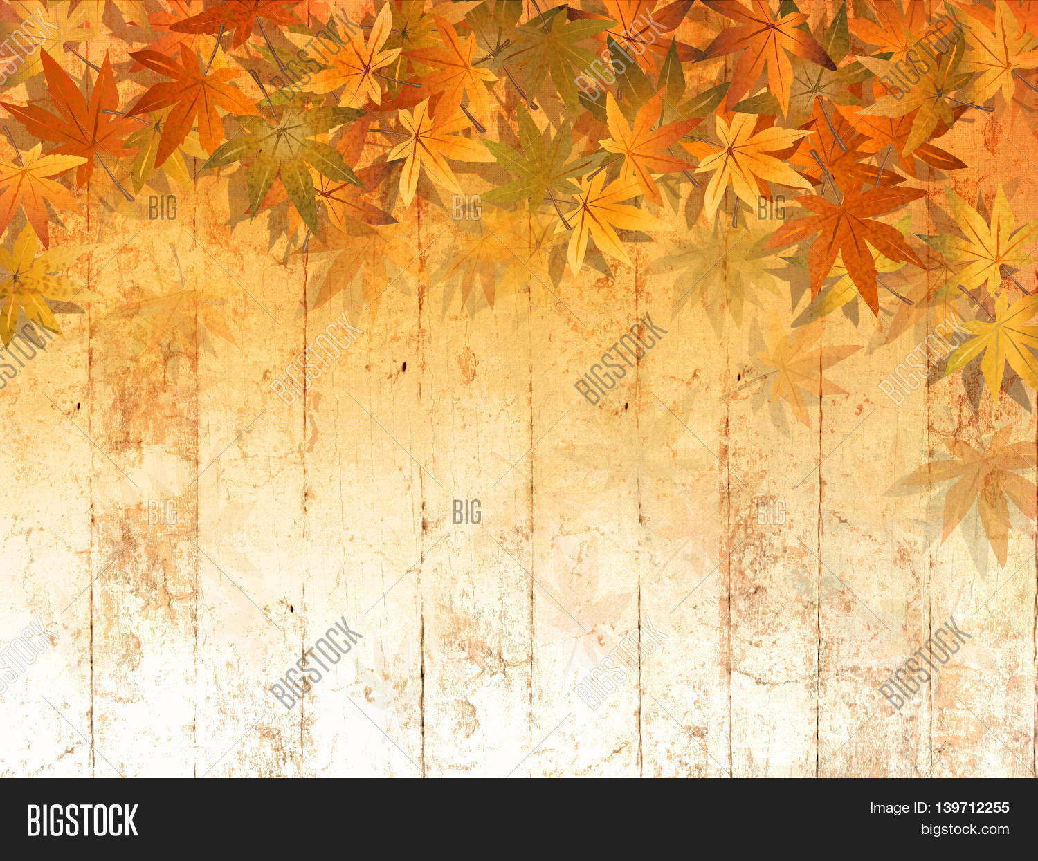 Fall Leaf Border Image & Photo (Free Trial) | Bigstock