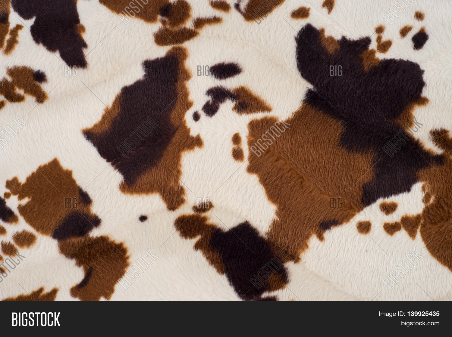 Cow Skin Texture Image & Photo (Free Trial) | Bigstock