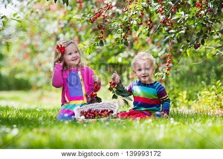 Kids Picking Cherry On Image & Photo (Free Trial) | Bigstock