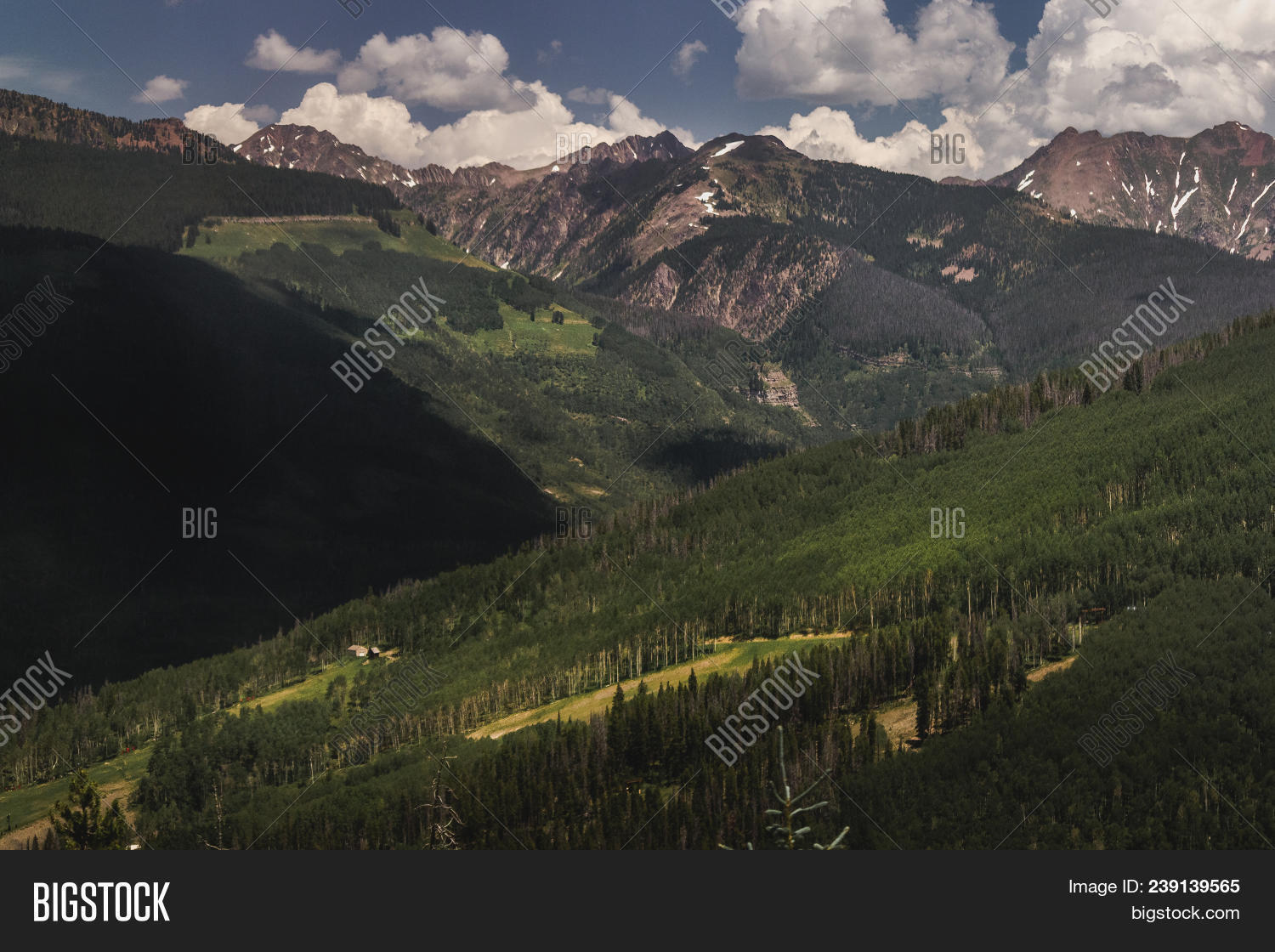 Tree-covered Vail Image & Photo (Free Trial) | Bigstock