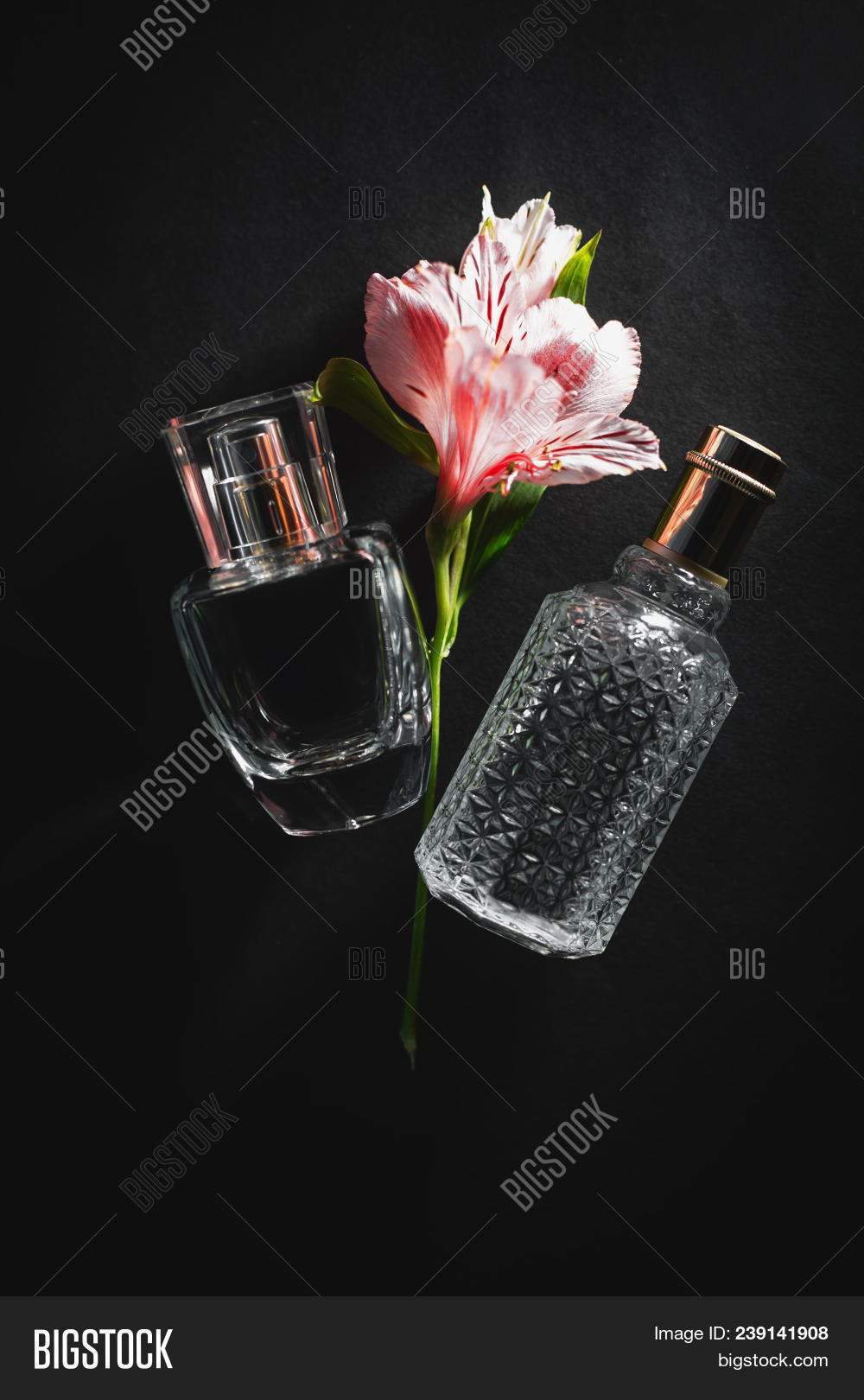 Two Bottle Perfumes Image & Photo (Free Trial) | Bigstock