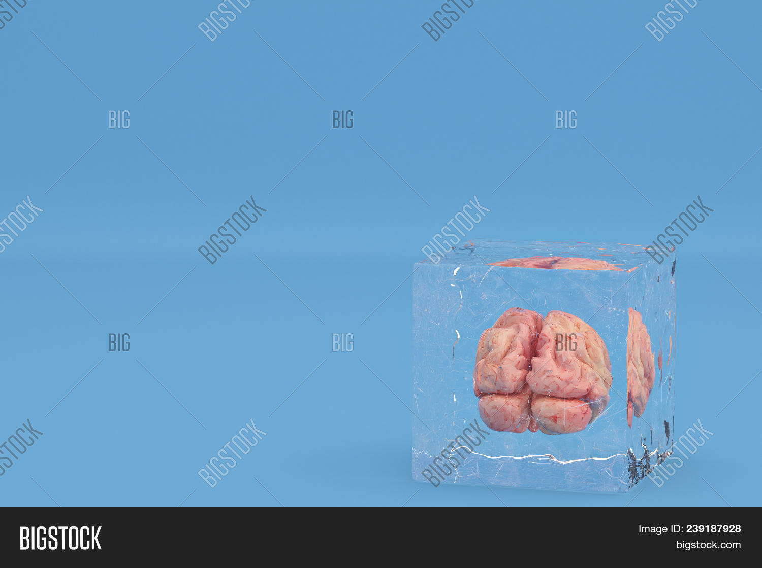 Brain Ice Cubes On Image & Photo (Free Trial) | Bigstock