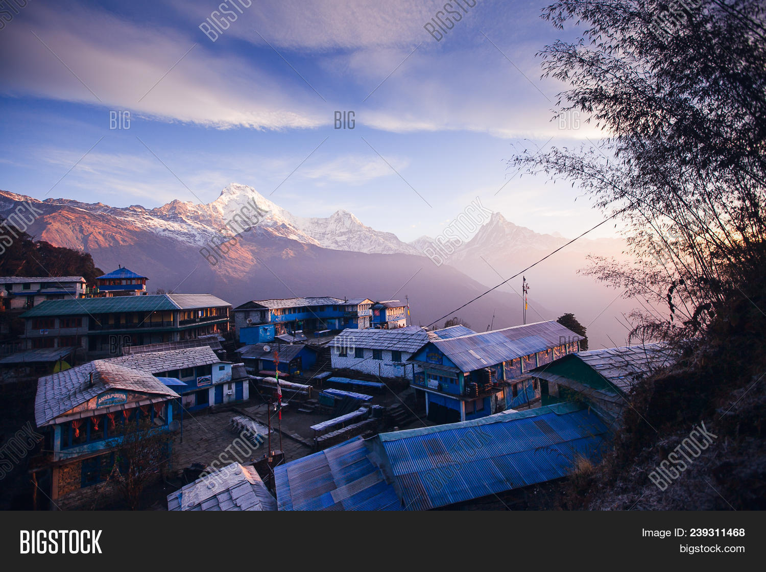 Tadapani Village. Image & Photo (Free Trial) | Bigstock