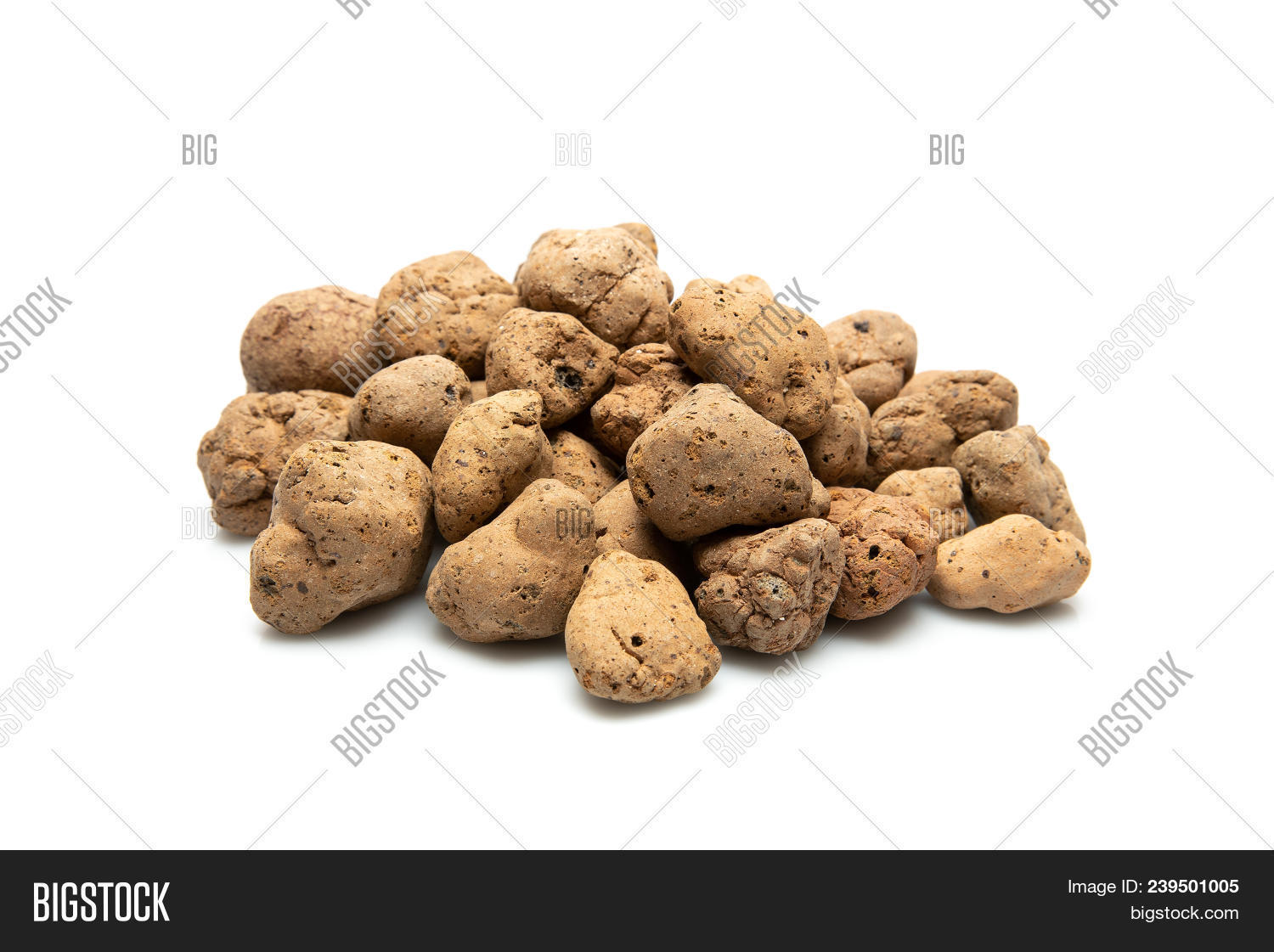 Lightweight Expanded Image & Photo (Free Trial) | Bigstock