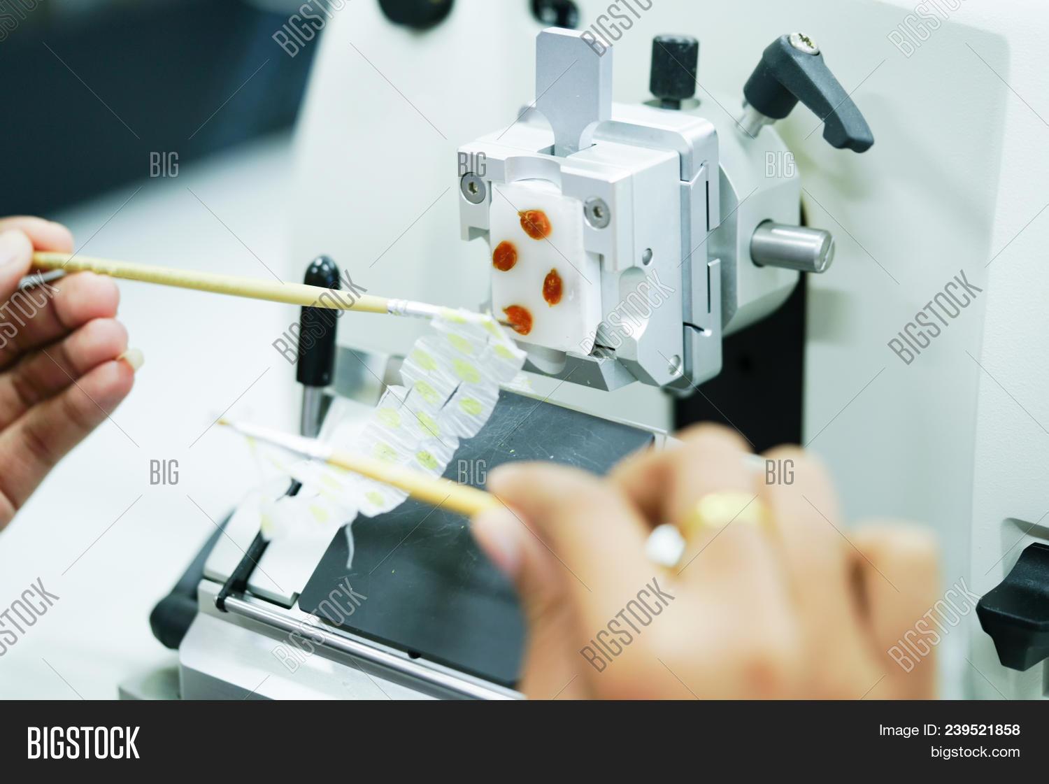 Rotary Microtome Image & Photo (Free Trial) | Bigstock