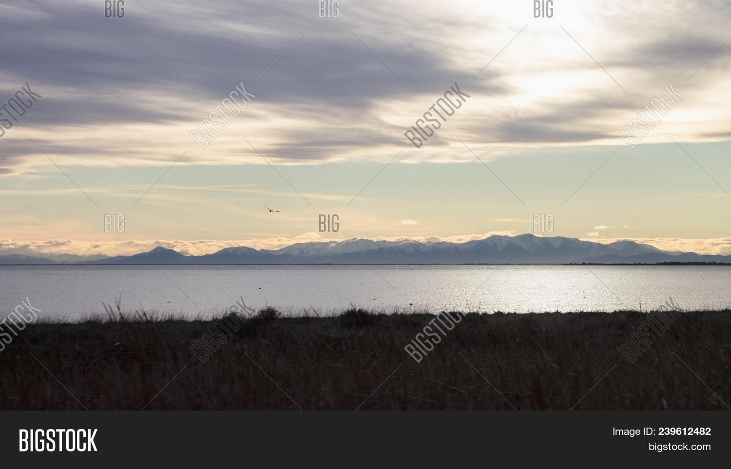 Looking Out Over Lake Image & Photo (Free Trial) | Bigstock