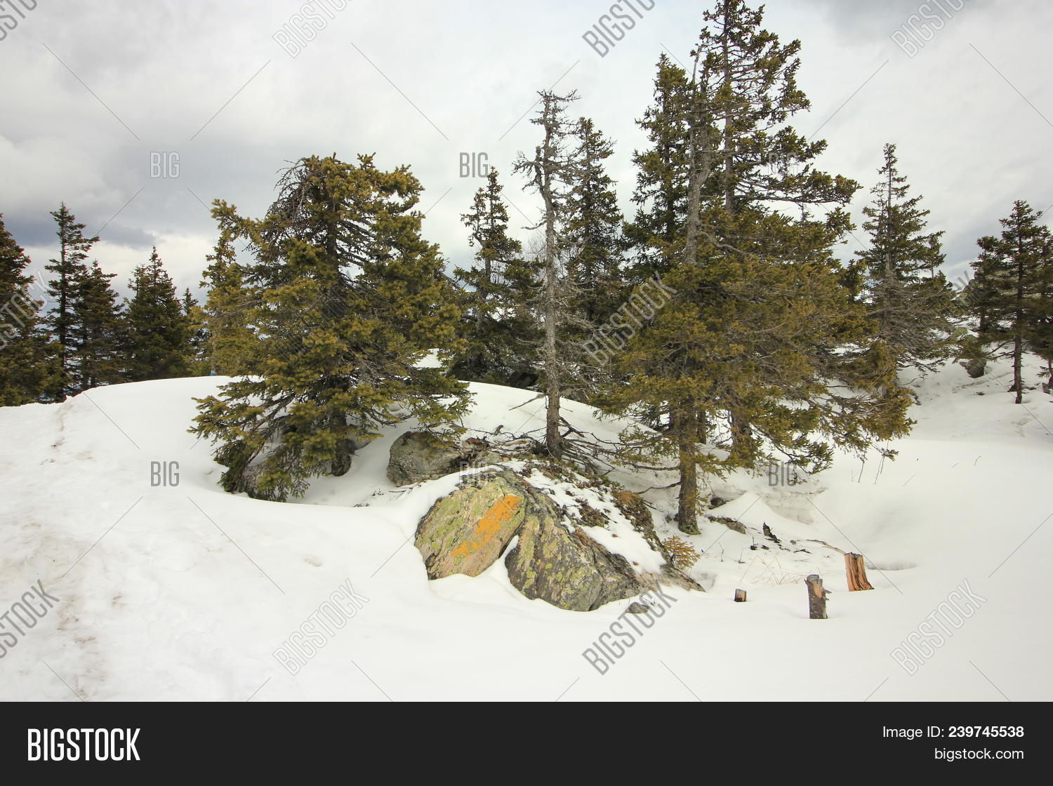 Russian Nature. Ural Image & Photo (Free Trial) | Bigstock