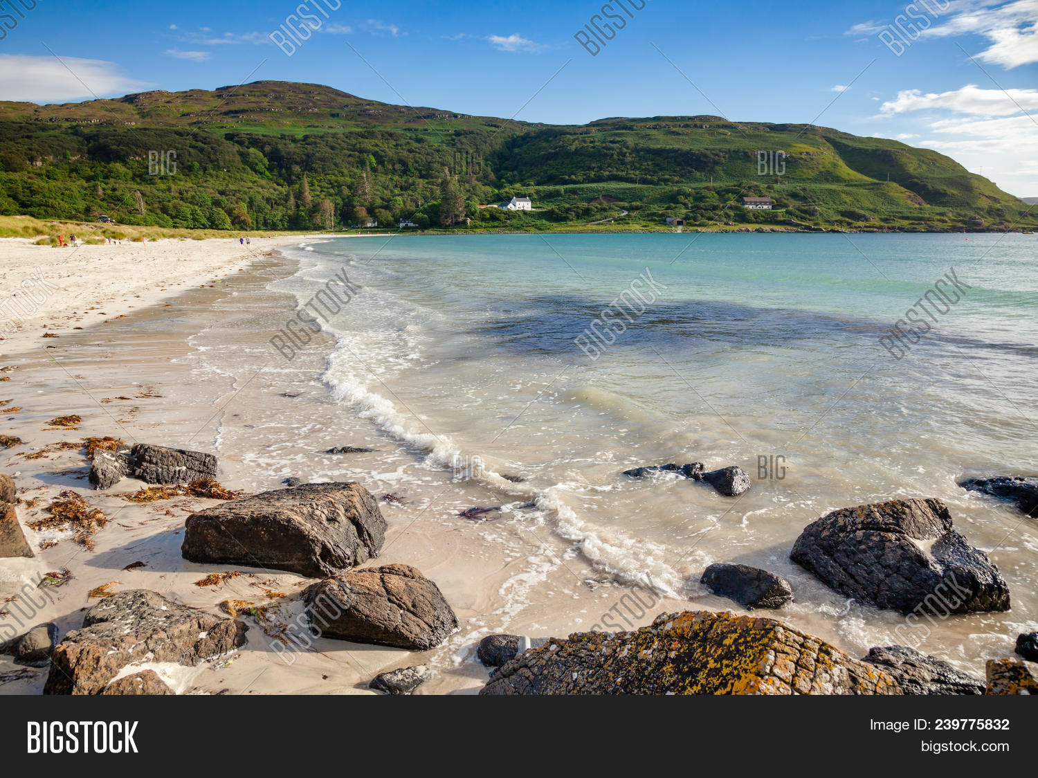 White Shell Sand Beach Image & Photo (Free Trial) | Bigstock