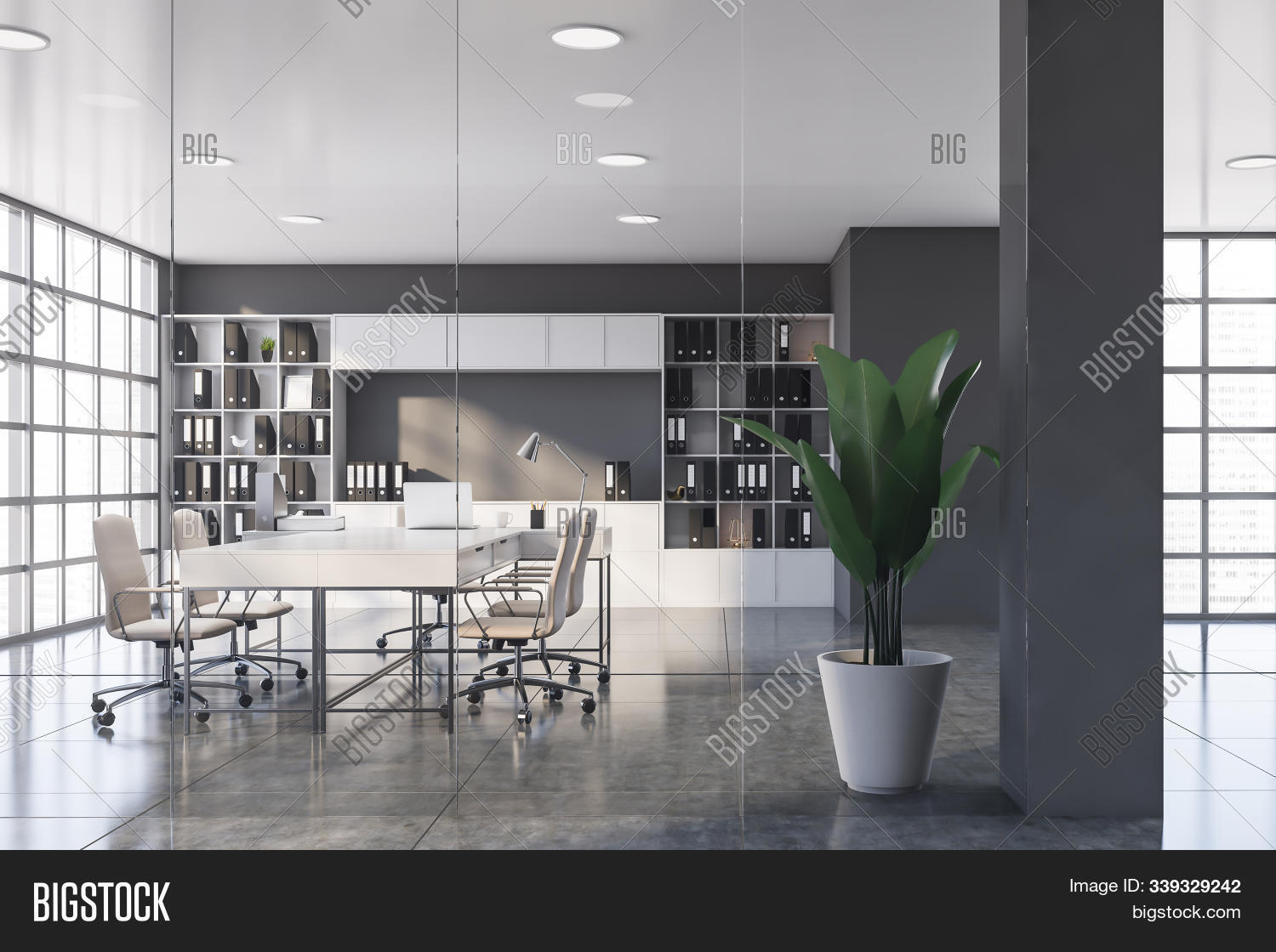 Gray Ceo Office Image & Photo (Free Trial) | Bigstock