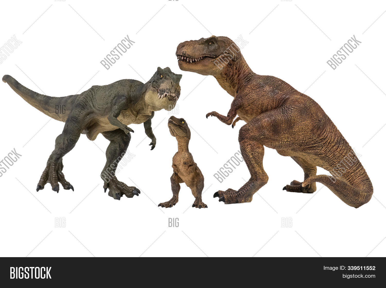 Family Tyrannosaurus Image & Photo (Free Trial) | Bigstock