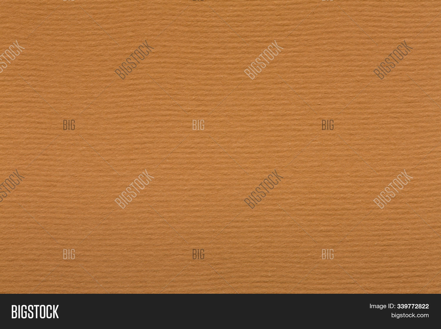 Light Brown Lined Image & Photo (Free Trial) | Bigstock