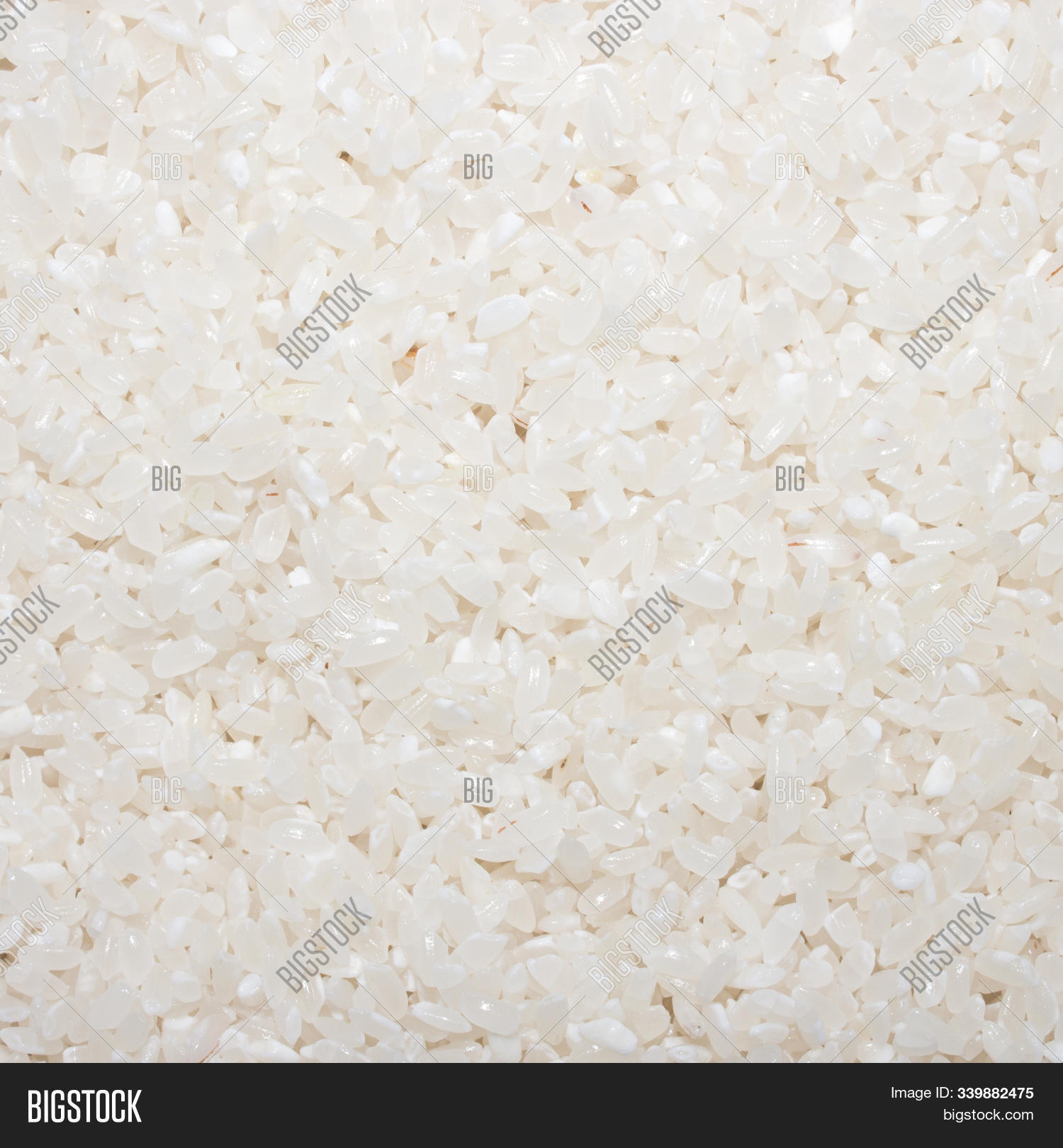Round-grain Crumbly Image & Photo (Free Trial) | Bigstock